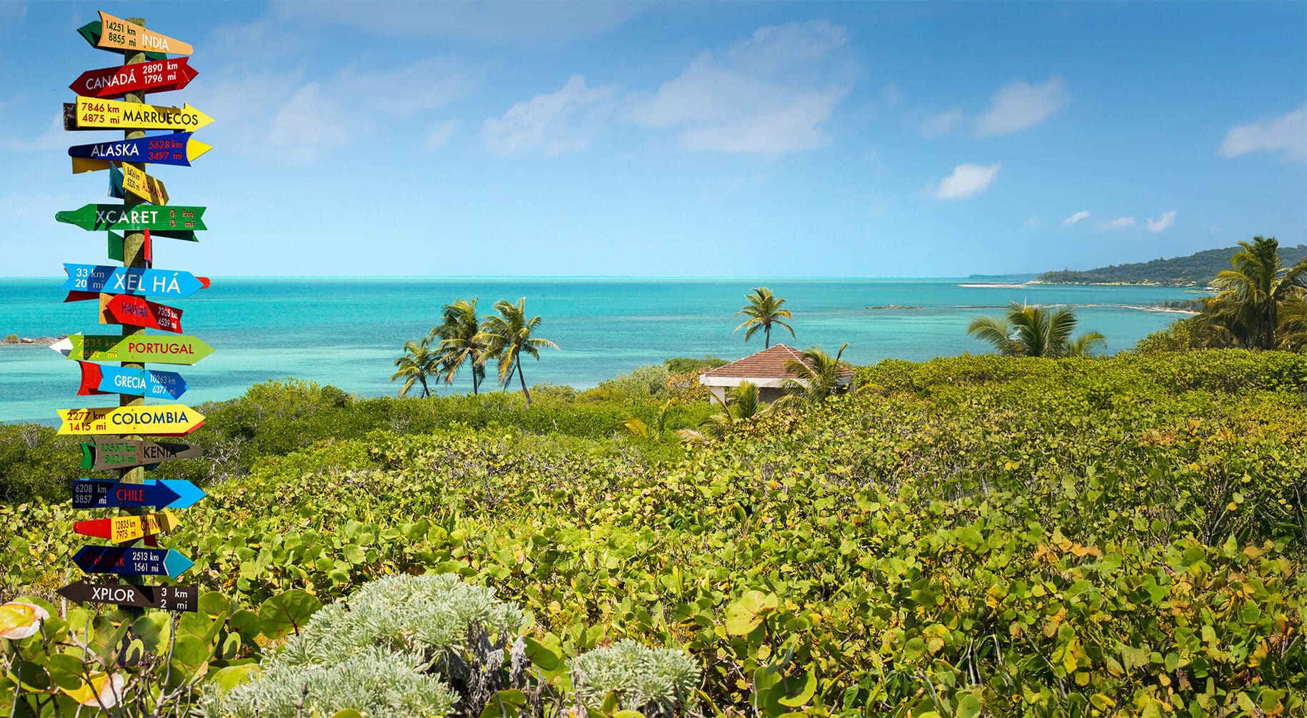 Multi-trip Annual Plan: Benefits for Travelers